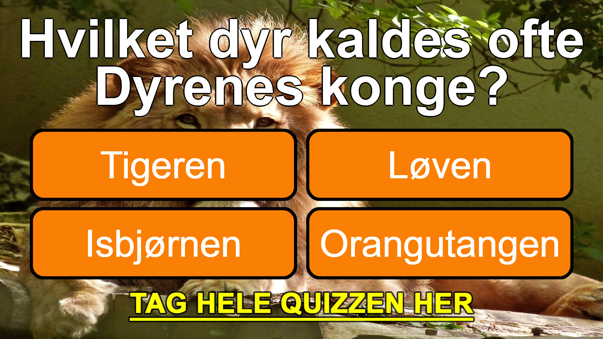 Dyrequiz - den er nem! eller?!